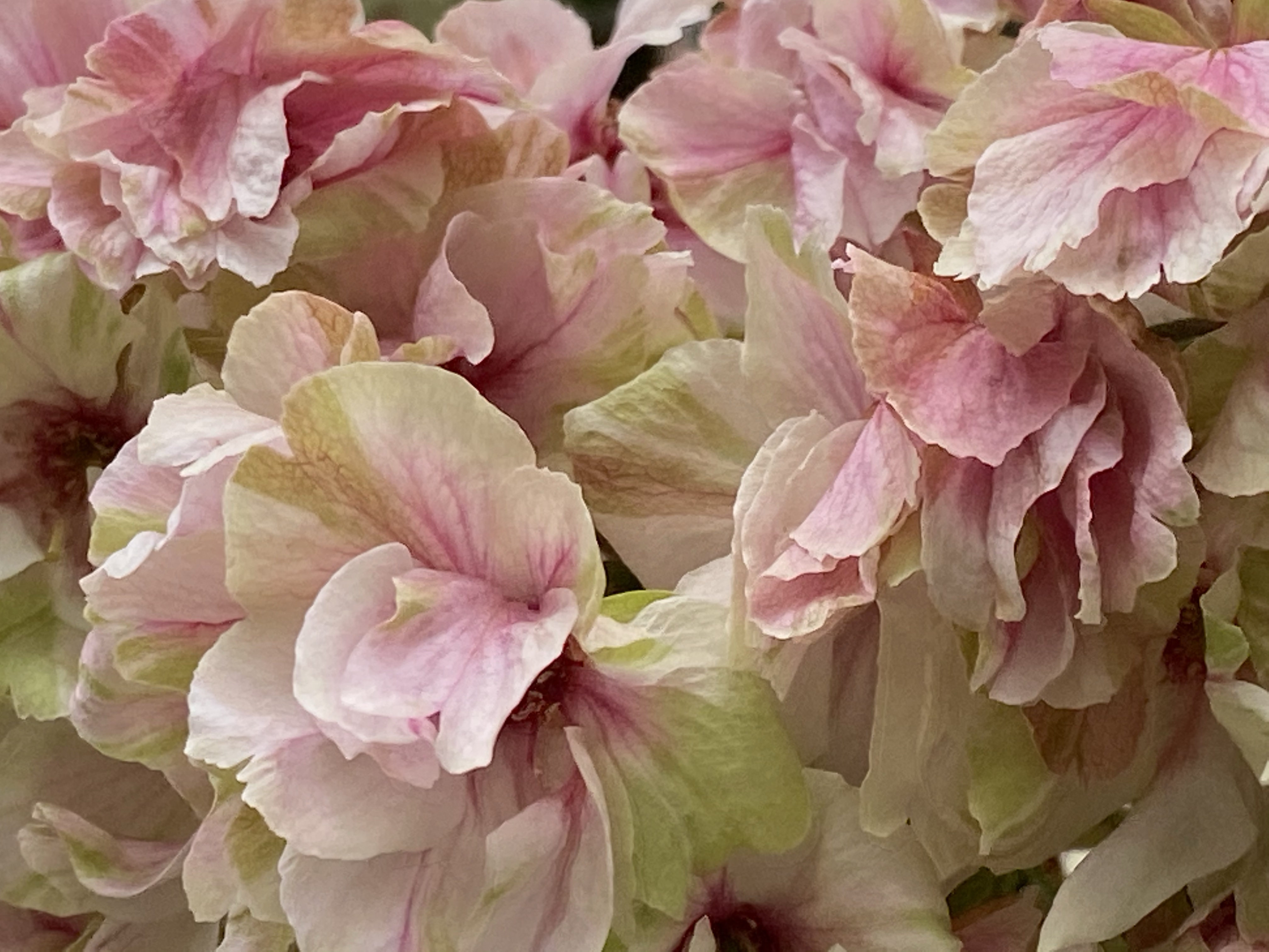 Img 2179 Exceptional Ea Home