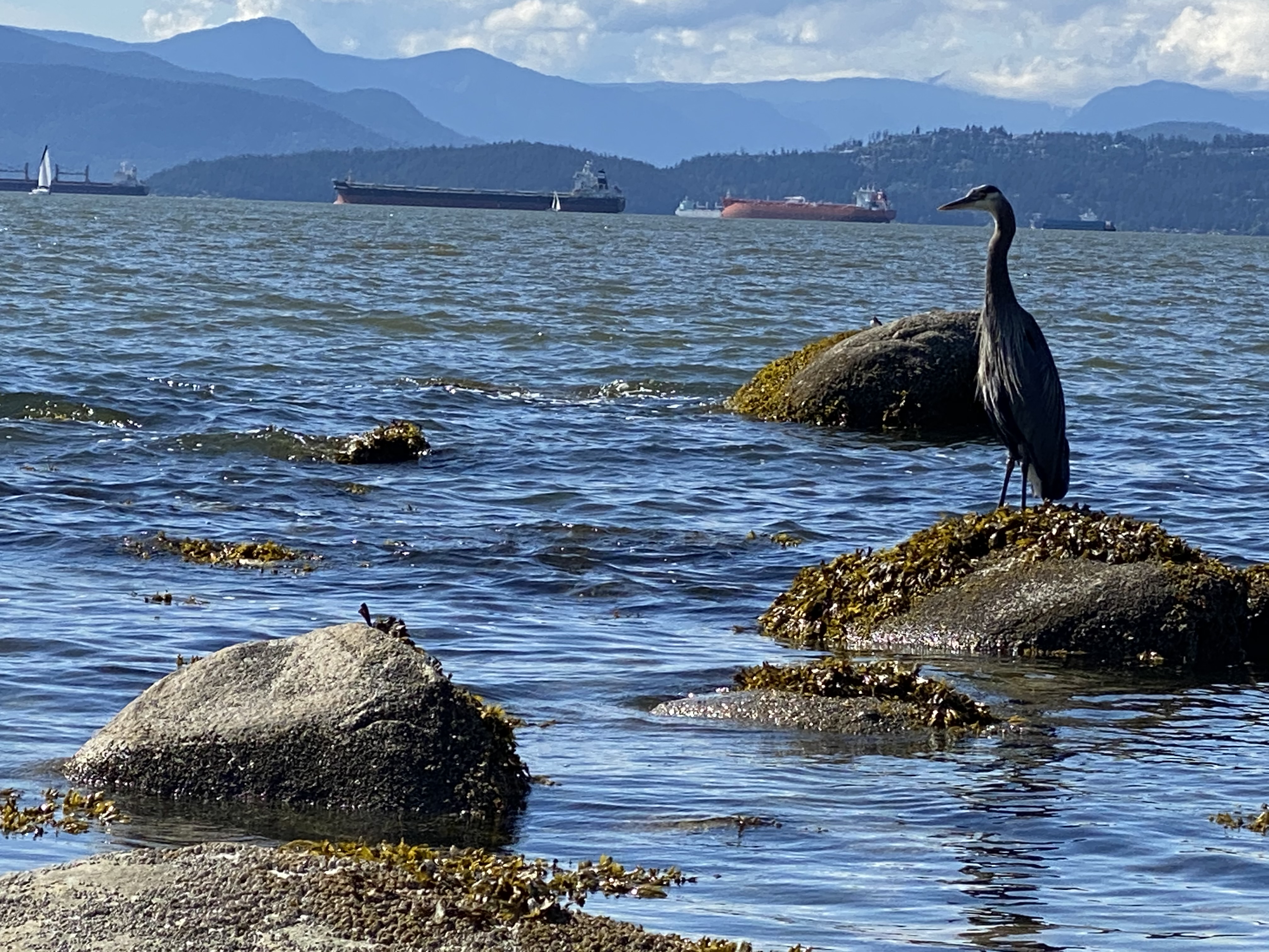 Curious Exceptional Ea Home